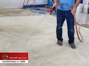 Professional Area Rug Cleaning in West Palm Beach, Florida